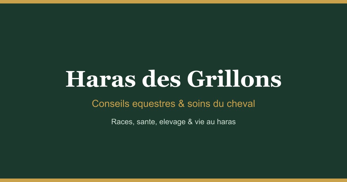 Fiscalité du cheval : TVA, bénéfices agricoles et amortissement | Haras ...